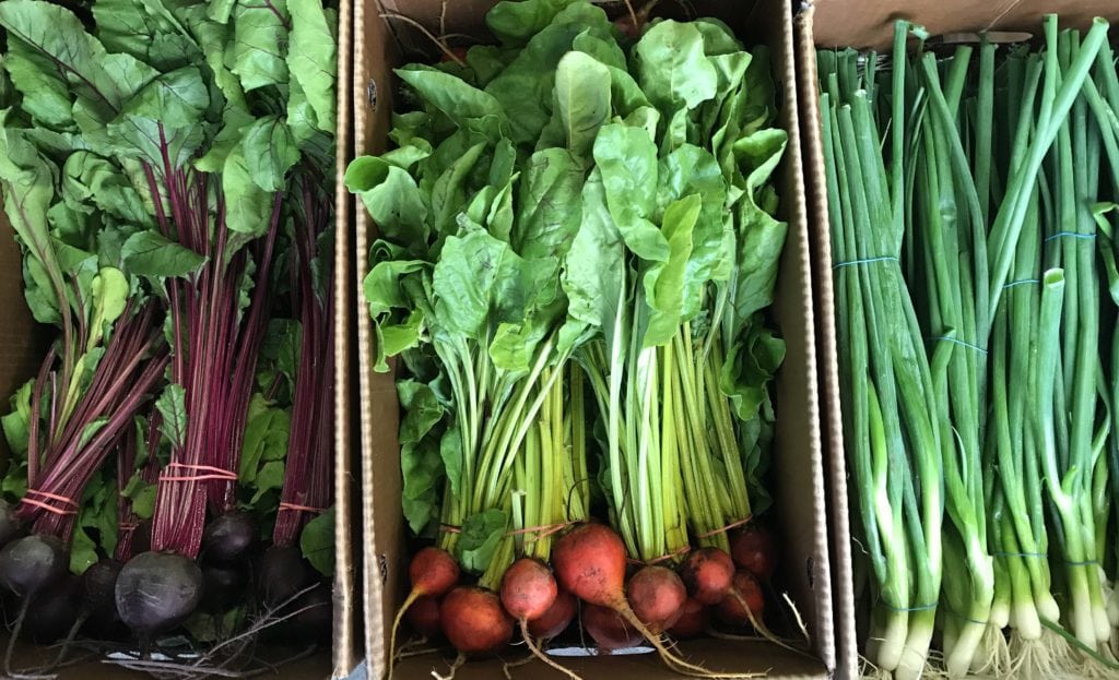 Mangez Québec ou nos fruits et légumes d'ici ! » Cinq Fourchettes
